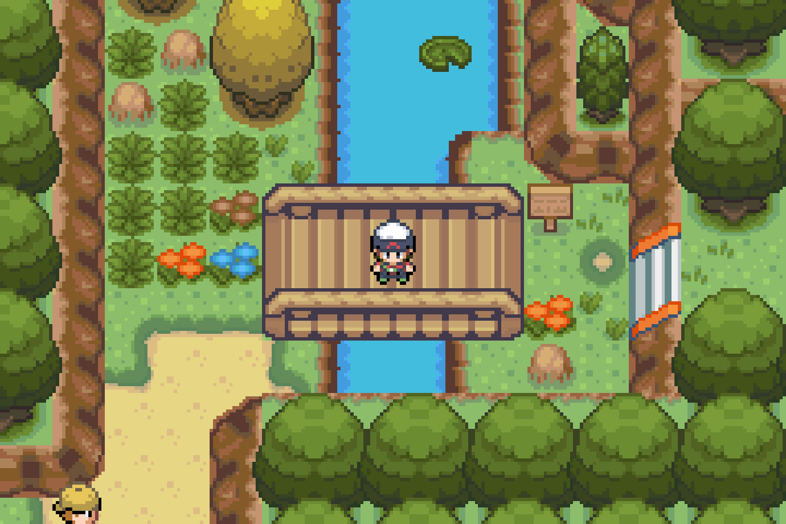 Pokemon Mega Hoenn Adventures (GBA) New English Release 2024 - GBACodes