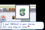 Pokemon Astral Red (v1.2) Completed GBA Rom Hack - GBACodes