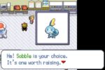 Pokemon Radical Red (v4.1) Completed GBA Rom Hack - GBACodes