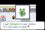 Pokemon Radical Red (v4.1) Completed GBA Rom Hack - GBACodes