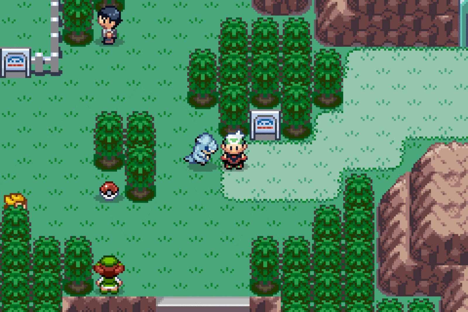 Pokemon Contemporary Emerald (v1.1) GBA Download - GBACodes
